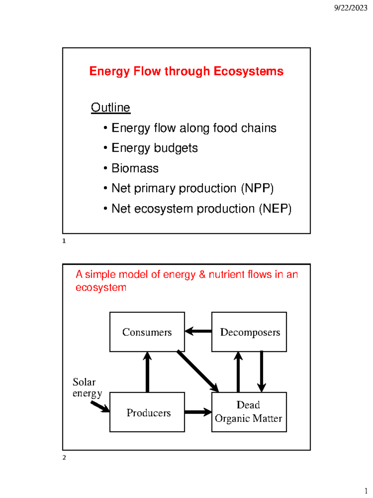 L10 - Energy Flow - Sept24 mycourses - Energy Flow through Ecosystems ...