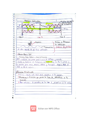 PARmed X-Español - PARmed-X PARA embarazo Adaptación al español ...