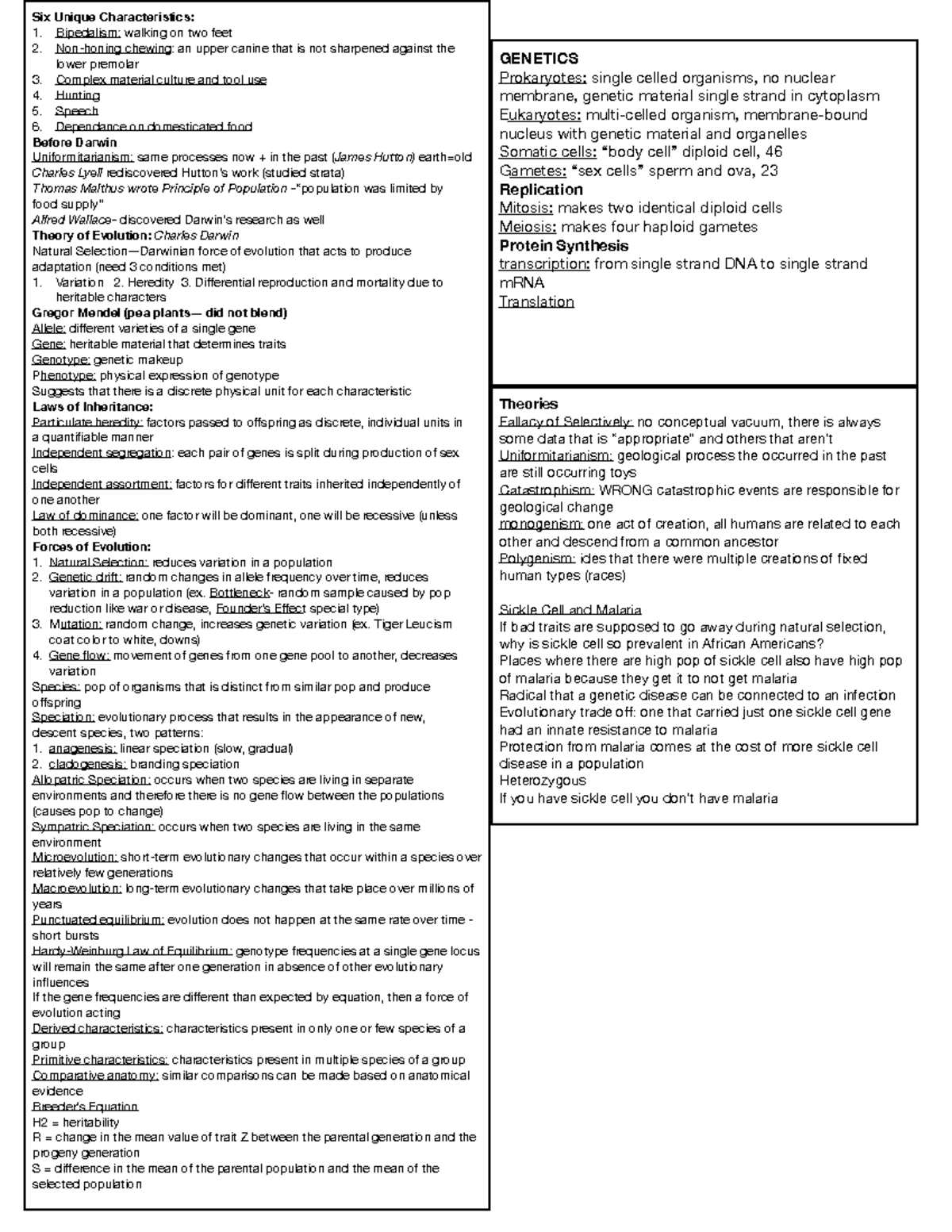 Cheat Sheet - Summary Human Evolution - Six Unique Characteristics ...