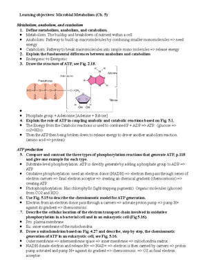 Ch06 Learning Objective - Learning objectives: Microbial Growth (Ch. 6 ...