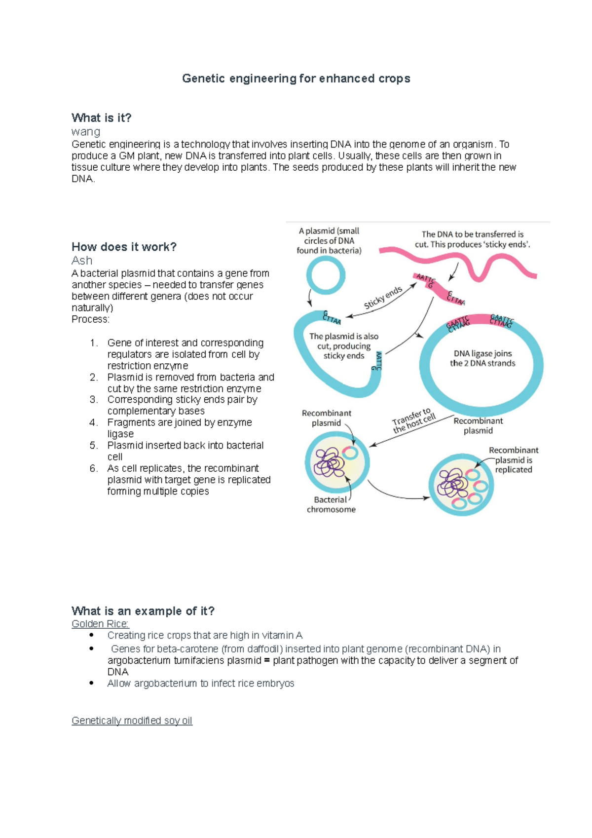 Genetic engineering for enhanced crops - To produce a GM plant, new DNA ...