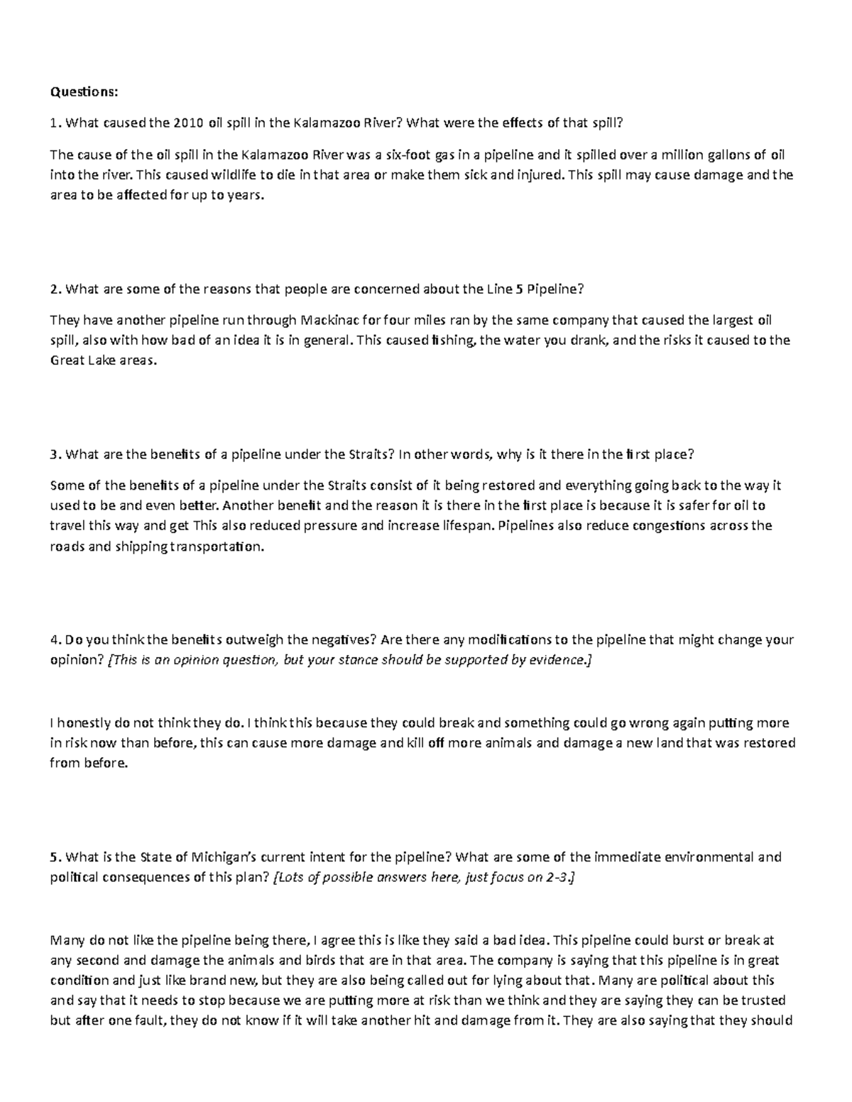 Beneath the Surface questions W22 - Questions: What caused the 2010 oil ...