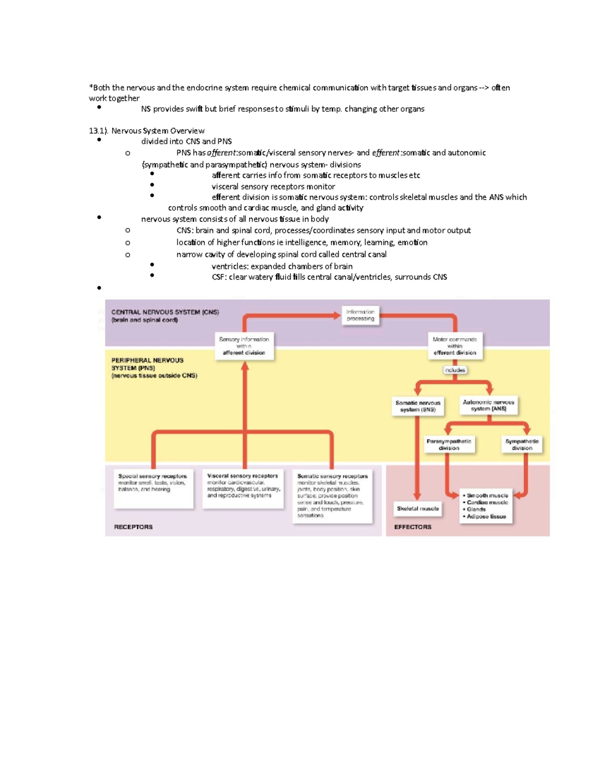Unit 1 chpt 13 - Lecture notes unit1 - - Studocu