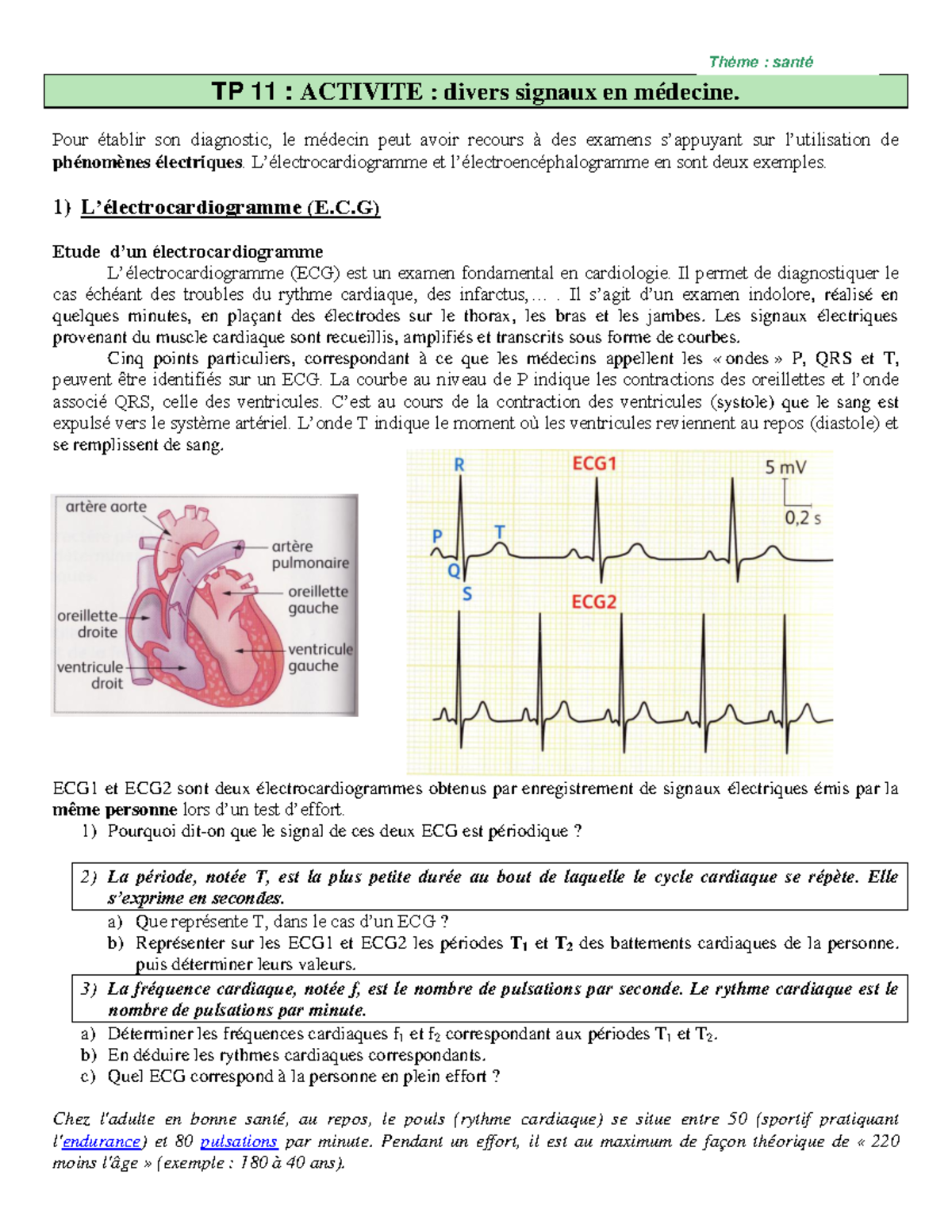 Electrocardiogramme et encephalogramme tp - TP 11 : ACTIVITE : divers ...