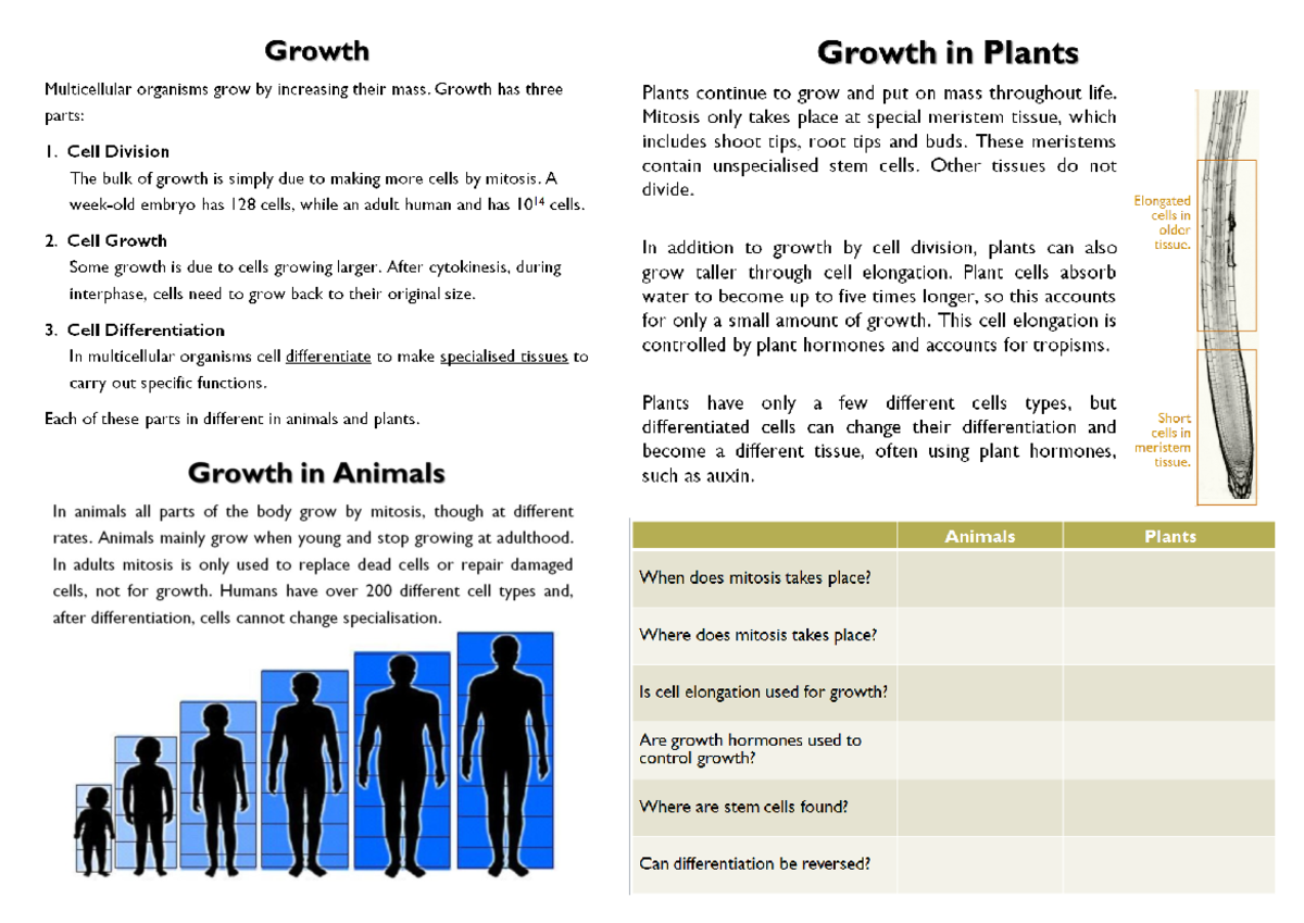 7.30 - Lesson notes - Growth - Studocu
