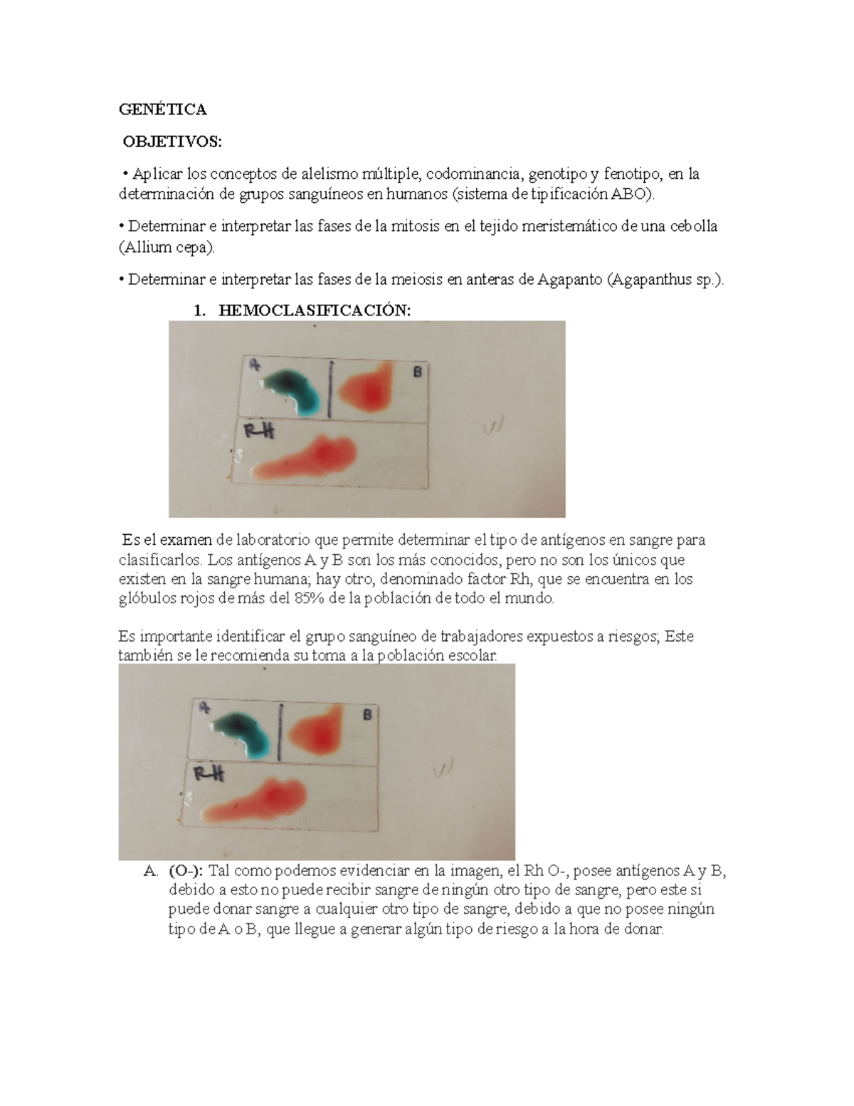 Genética - genetica en general - GENÉTICA OBJETIVOS: Aplicar los ...