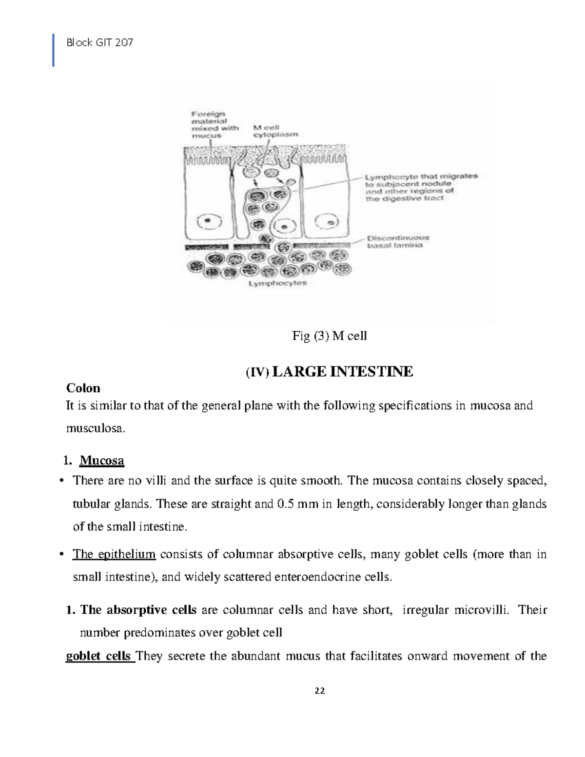 GIT histology- Large Intestine - Block GIT 207 22 Fig (3) M cell (IV ...