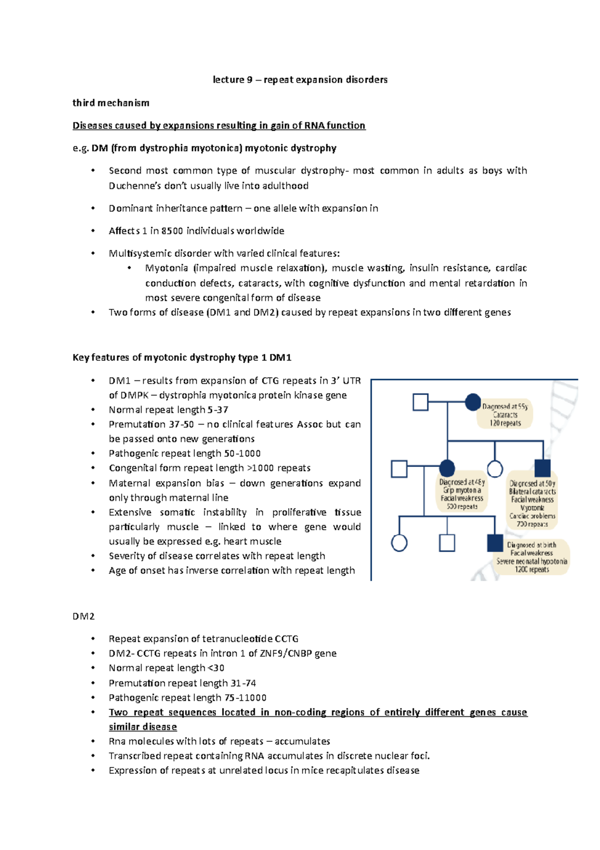 Lecture 9 - lecture 9 – repeat expansion disorders third mechanism ...