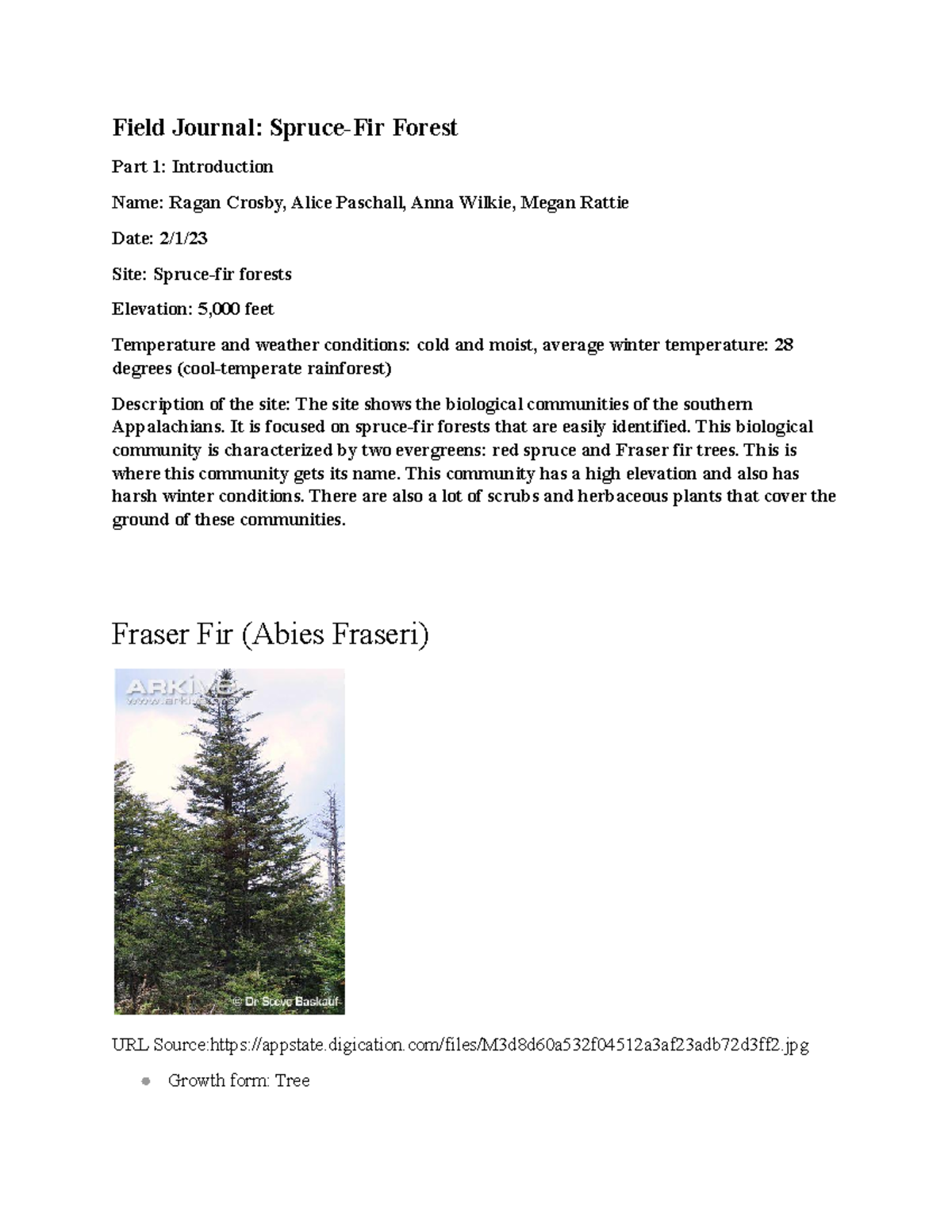Field Journal Spruce-Fir Forests - Field Journal: Spruce-Fir Forest ...