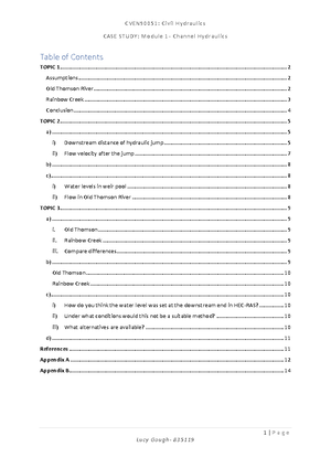 Chute Design Guidelines 1 - chute Guidelines for the Design of Rock ...