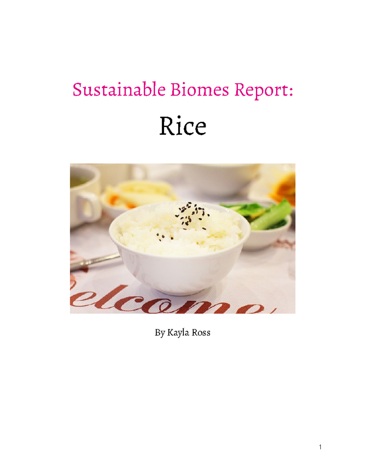Sustainable Biomes Report Rice - Sustainable Biomes Report: Rice By ...