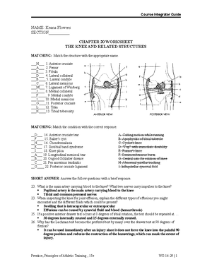 Domain 5 part 1 worksheets - CHAPTER 1 WORKSHEET THE ATHLETIC TRAINER ...