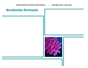 Generalidades de la micología - Generalidades de la micología(de hongos ...