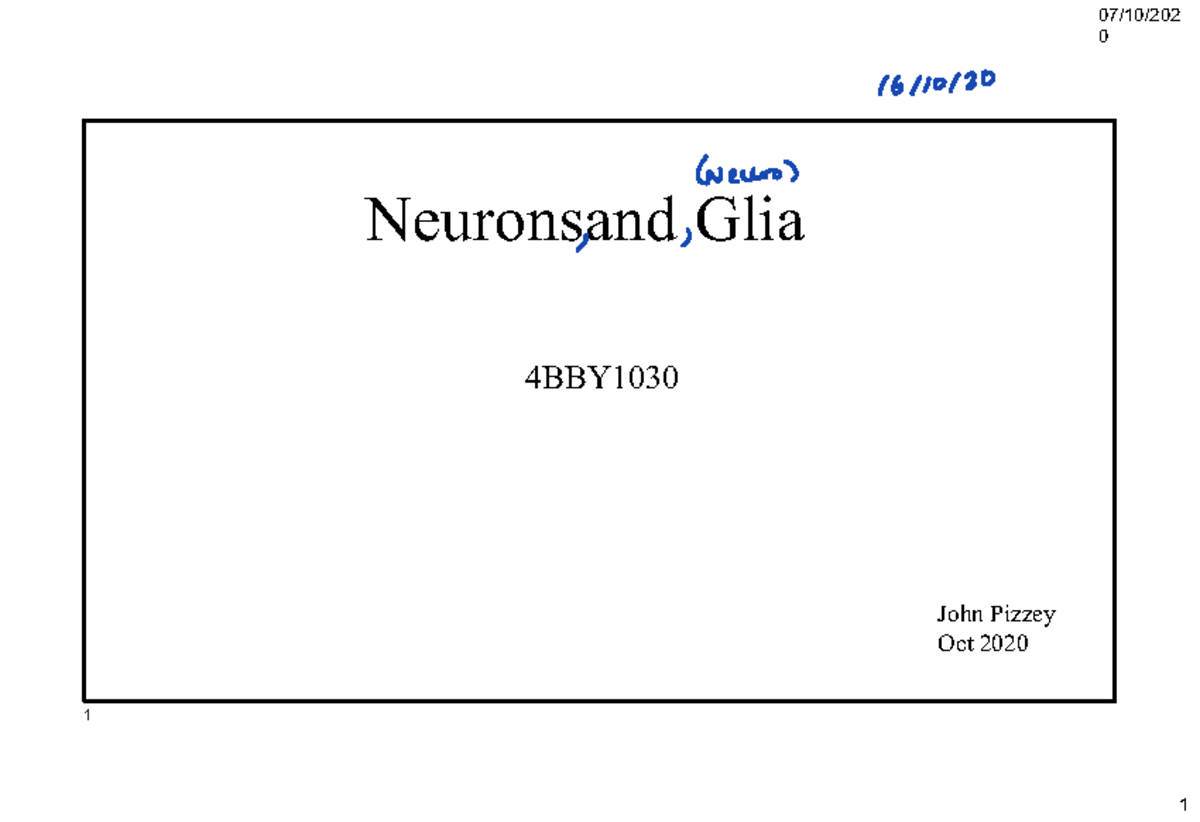 Lecture 8 Cell bio-Neurons slides done - 0 Neuronsand Glia 4BBY John ...