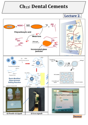 Upper Tooth CLamps - Dentist - D 211 210 90N 2 3 K 4 5 5 6 Universal ...