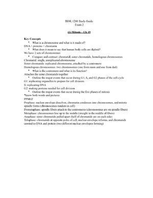 Lab 3- Tissues - lab - Understanding Tissues- The Fabric of the Body ...