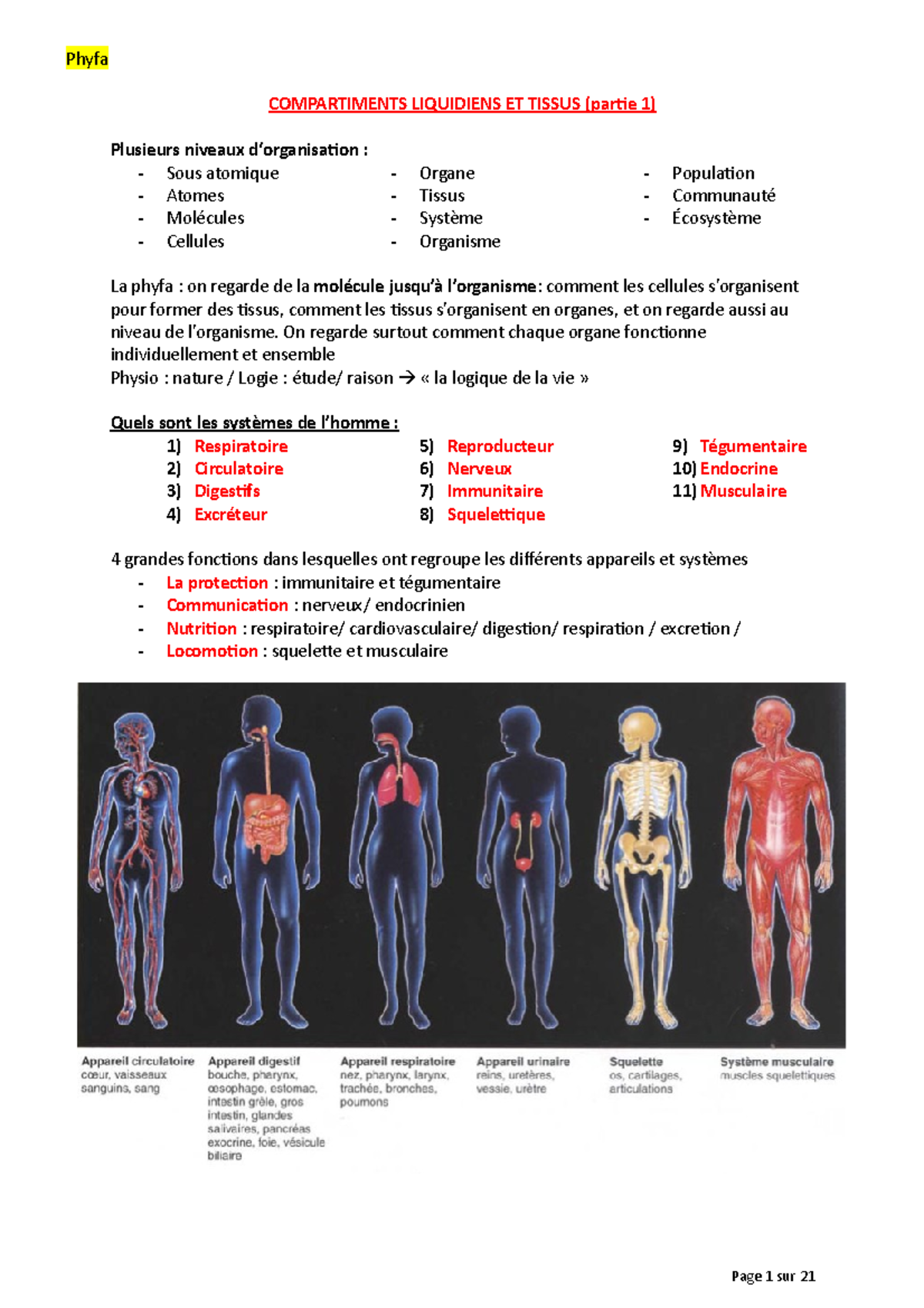 Phyfa compartiments liquidiens et tissus 1 - Phyfa COMPARTIMENTS ...