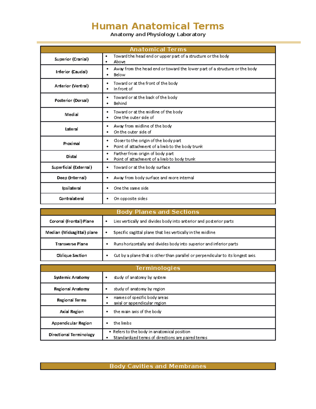 Anatomical Terms - Human Anatomical Terms Anatomy and Physiology ...