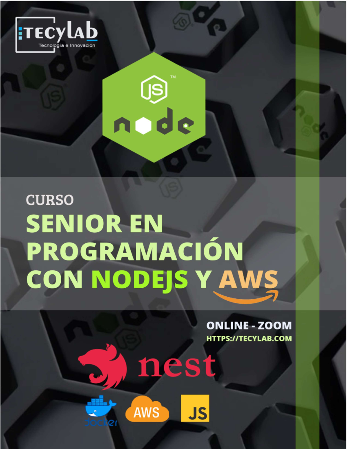Tecylab-Curso-Nodejs-Senior 2024 - ¿POR QUÉ NODEJS y NESTJS? ¡DOMINA NODEJS CON TYPESCRIPT Y ...