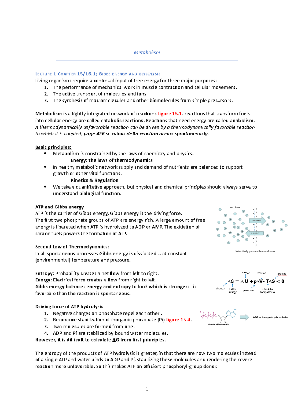 Metabolism year 1 college recap - RUG - Studeersnel