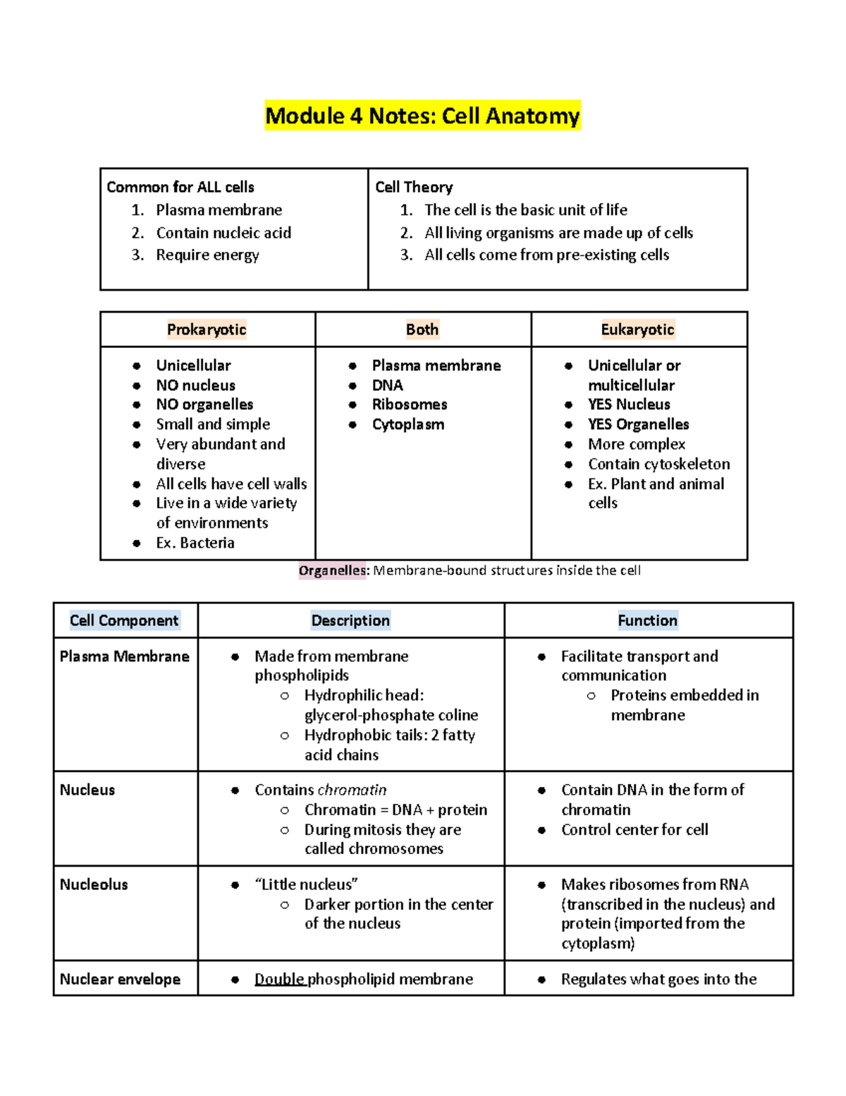 Module 4 cell anatomy notes - Module 4 Notes: Cell Anatomy Common for ...