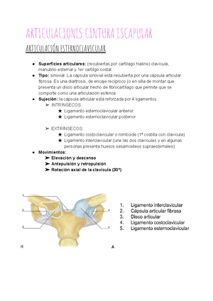 Orella externa, Orella mitjana, Orella interna - L’ORELLA Diferenciem ...