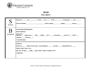 NSG 432CC RS Care Plan Level 3 OB Template - Care Plan Level 3 - OB ...