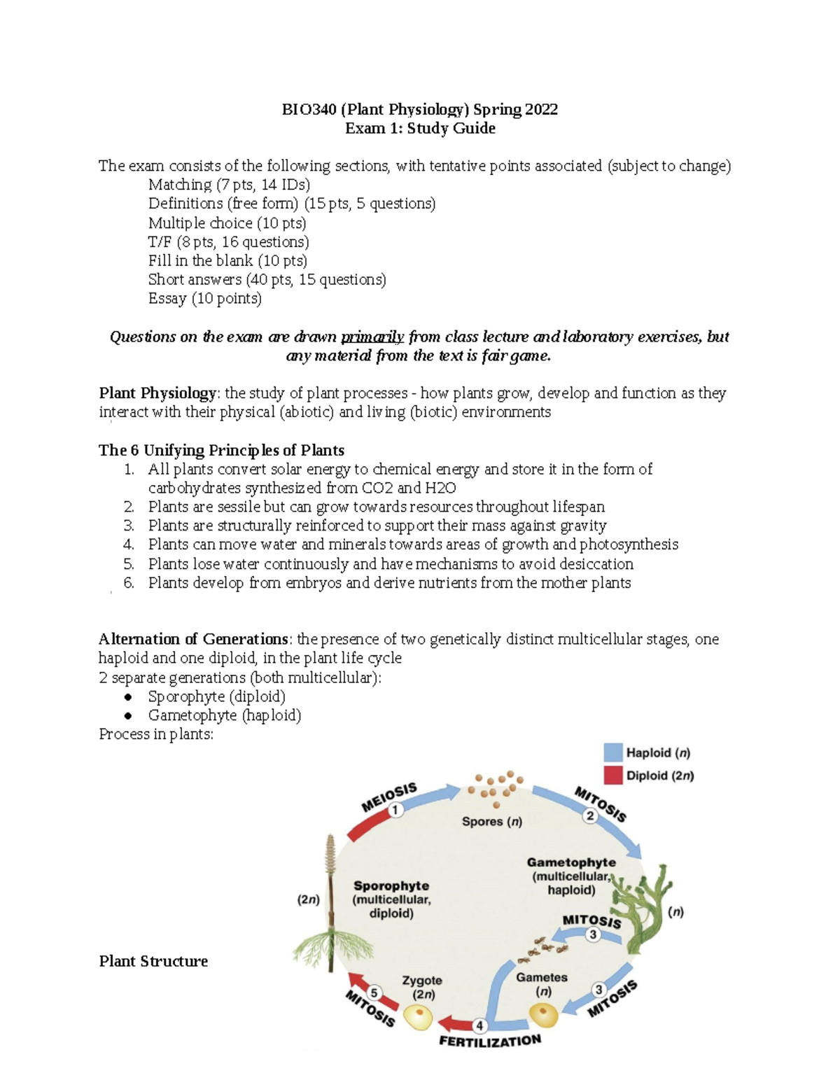 Exam1 Study Guide-1 - Dr. Lori Sutter - BIO340 (Plant Physiology ...