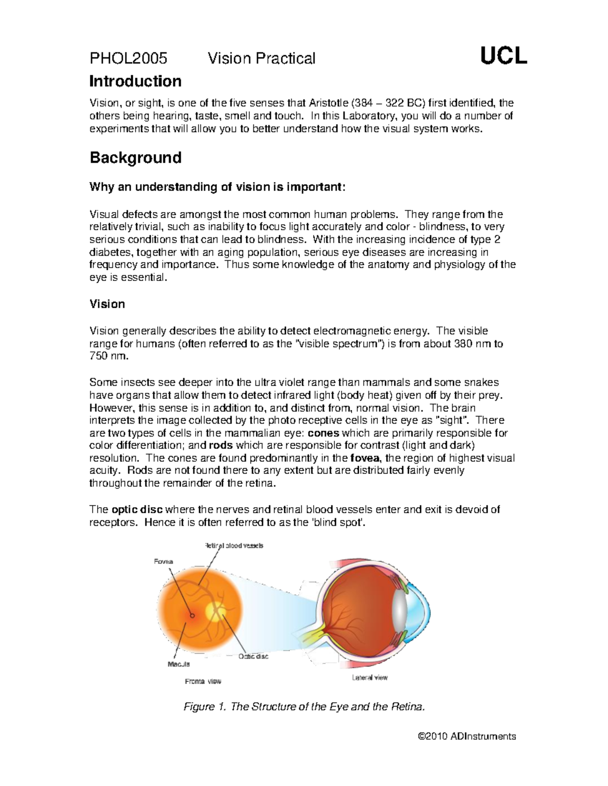 Vision Physiology - Introduction Vision, or sight, is one of the five ...