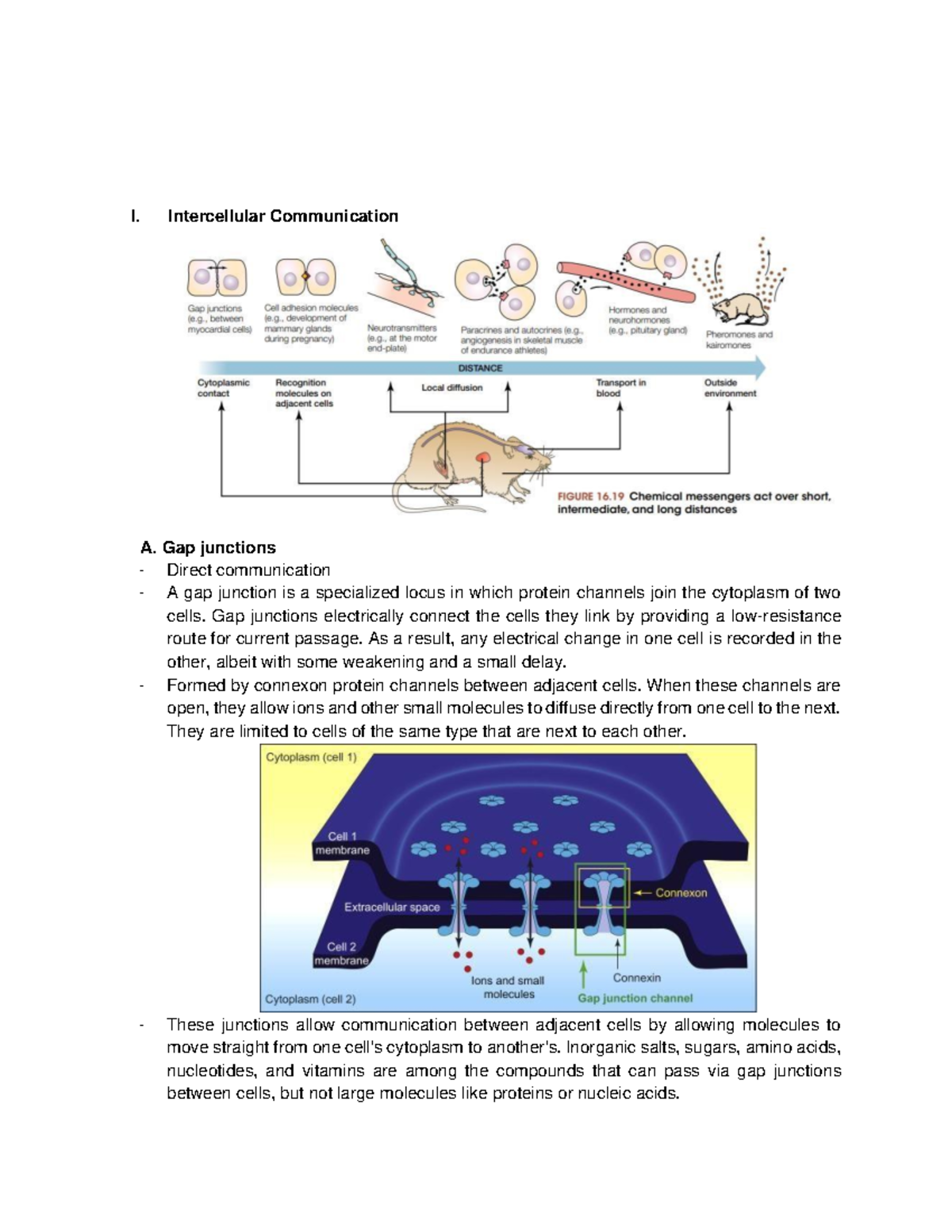 VII. Endocrine Control in Animals - I. Intercellular Communication A ...