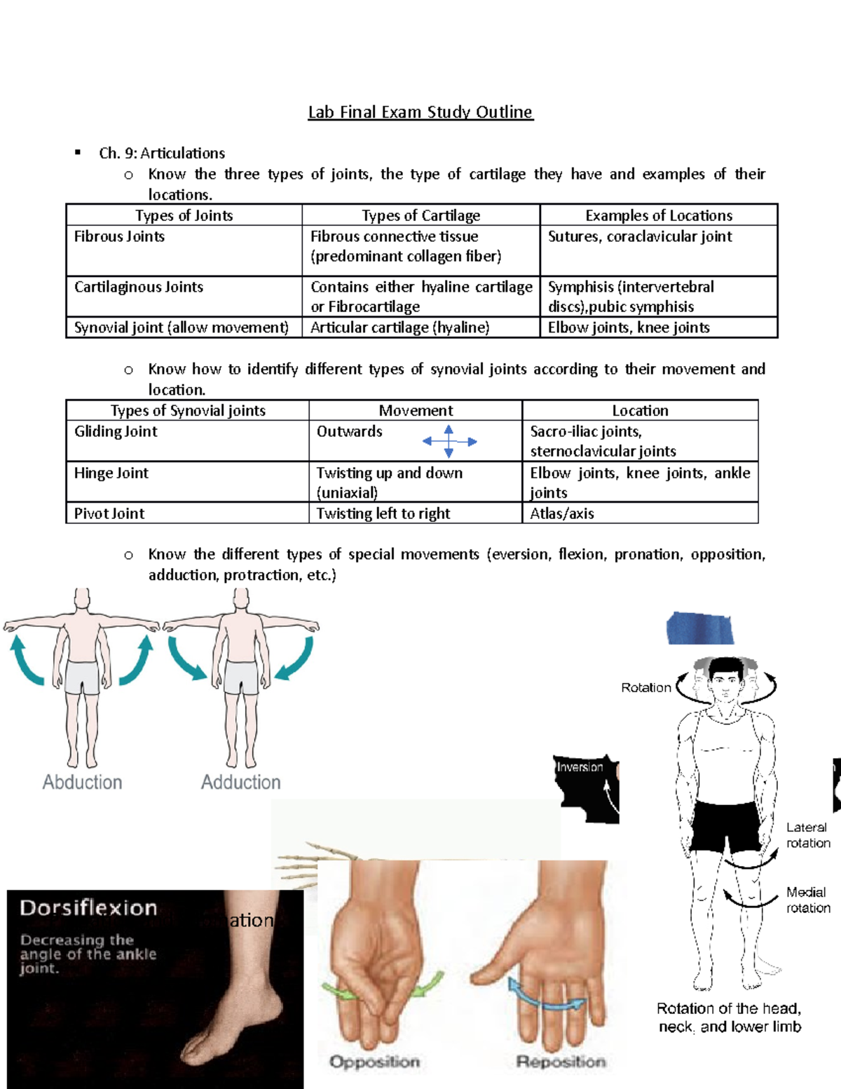 Lab Final Exam Study Outline - 9: Articulations o Know the three types ...