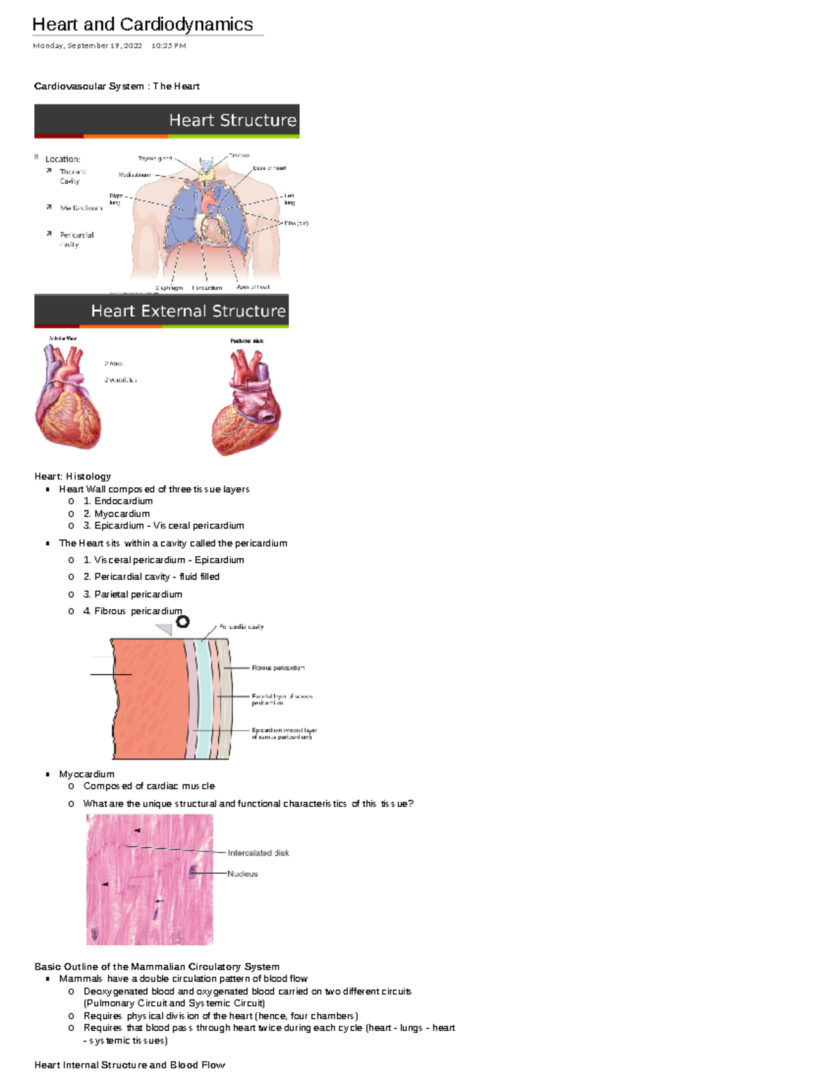 Cardiodynamics of the Heart - Heart and Cardiodynamics Monday ...