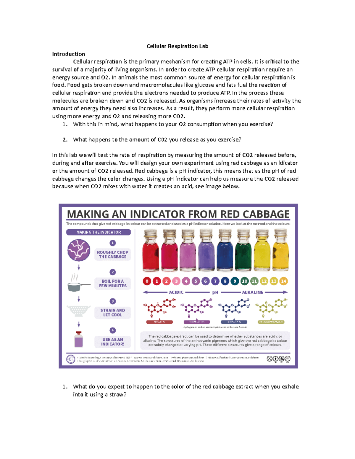 Cellular respiration lab handout-3 - Cellular Respiration Lab ...