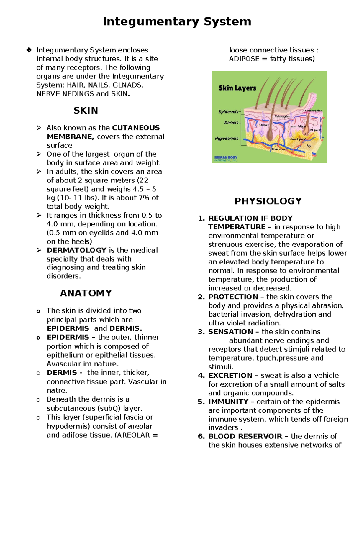 Integumentary notes - anaphy - Integumentary System encloses internal ...