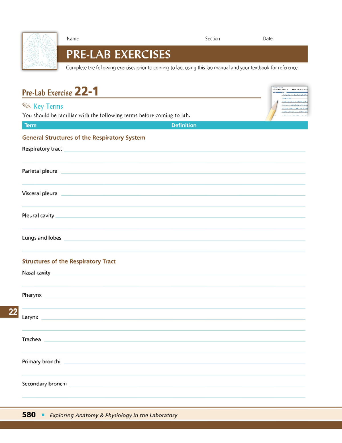 A+P unit 22 prelab - Lab work for anatomy - BIO 201L - Studocu