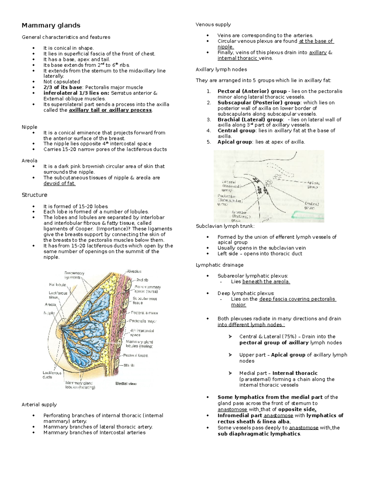 Mammary-gland-outline - Mammary glands General characteristics and ...