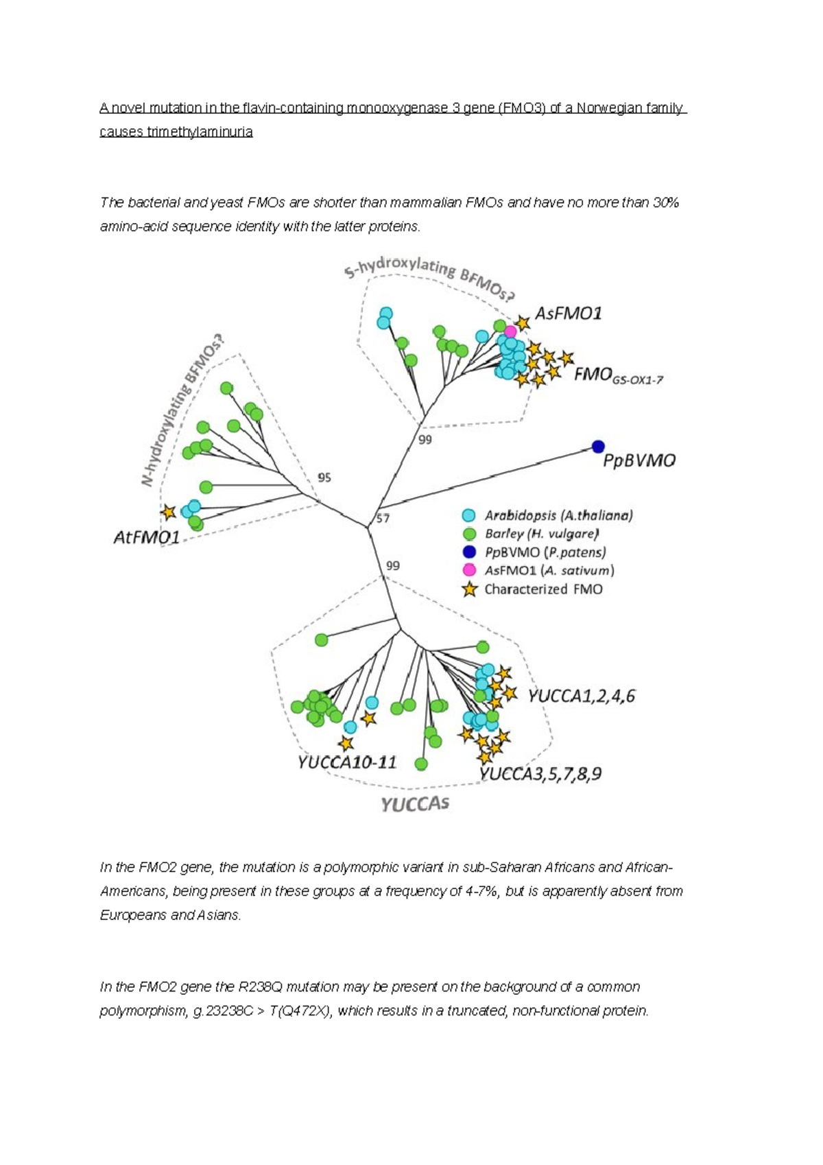 A novel mutation in the flavin-containing monooxygenase - In the FMO2 ...