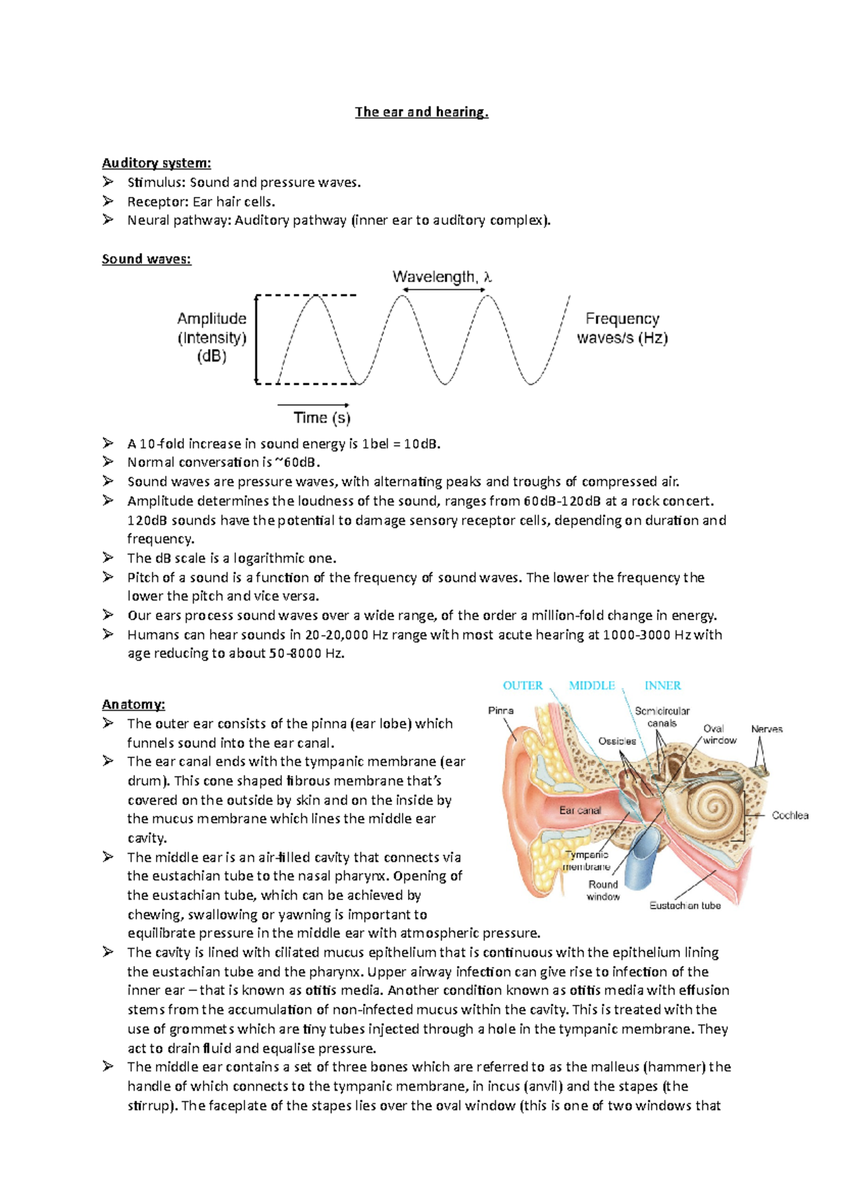 The ear and hearing - Auditory system: Stimulus: Sound and pressure ...