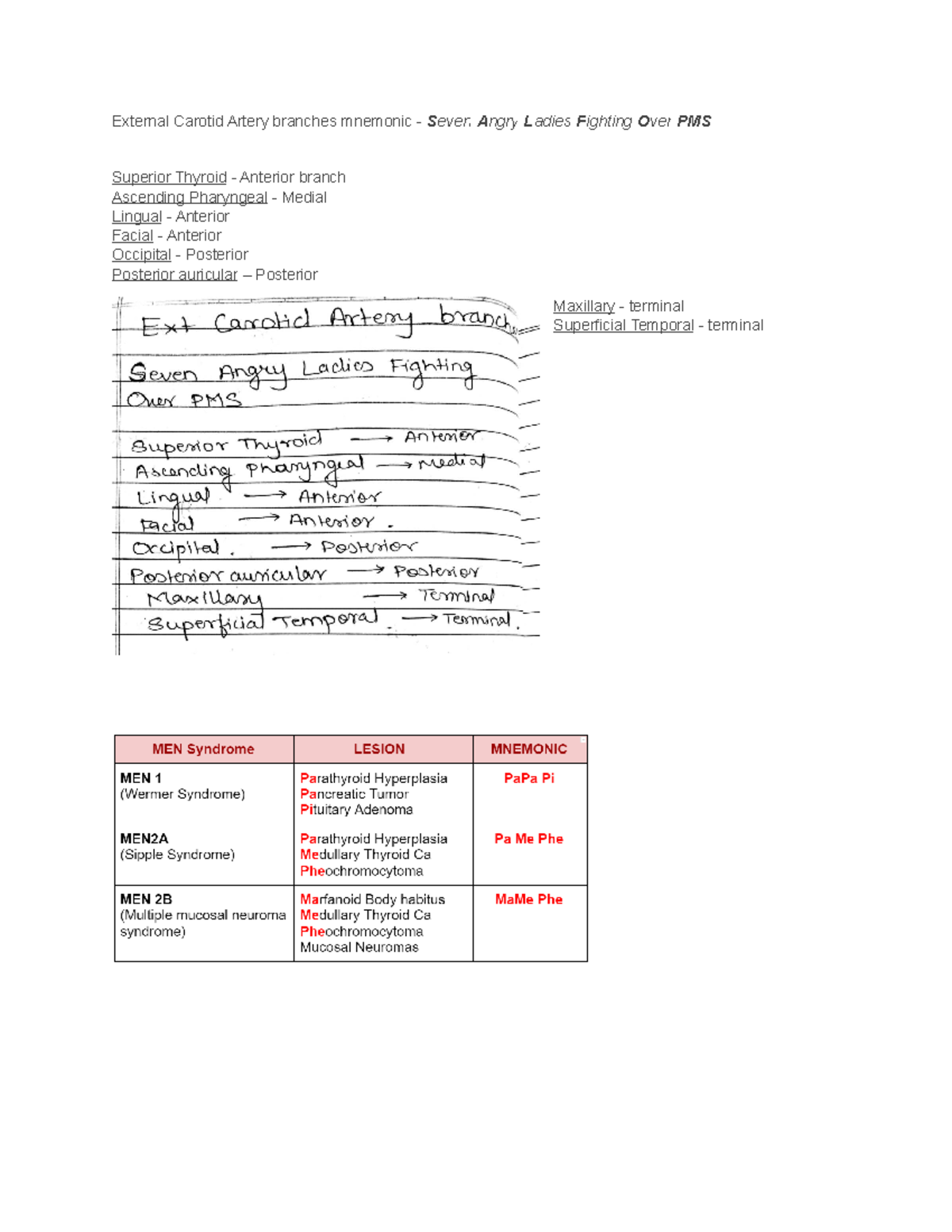 Endocinemnemonic - endocrine system mnemonic - External Carotid Artery ...