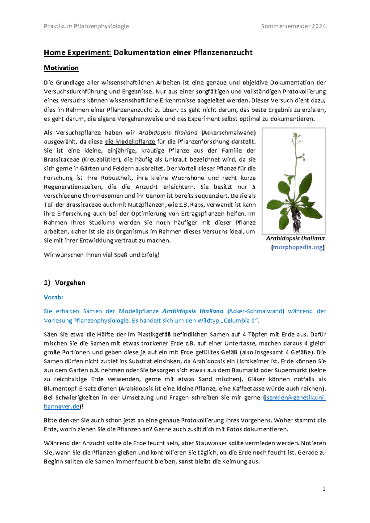 Anleitung Home Experiment Dokumentation einer Pflanzenanzucht 2024 ...