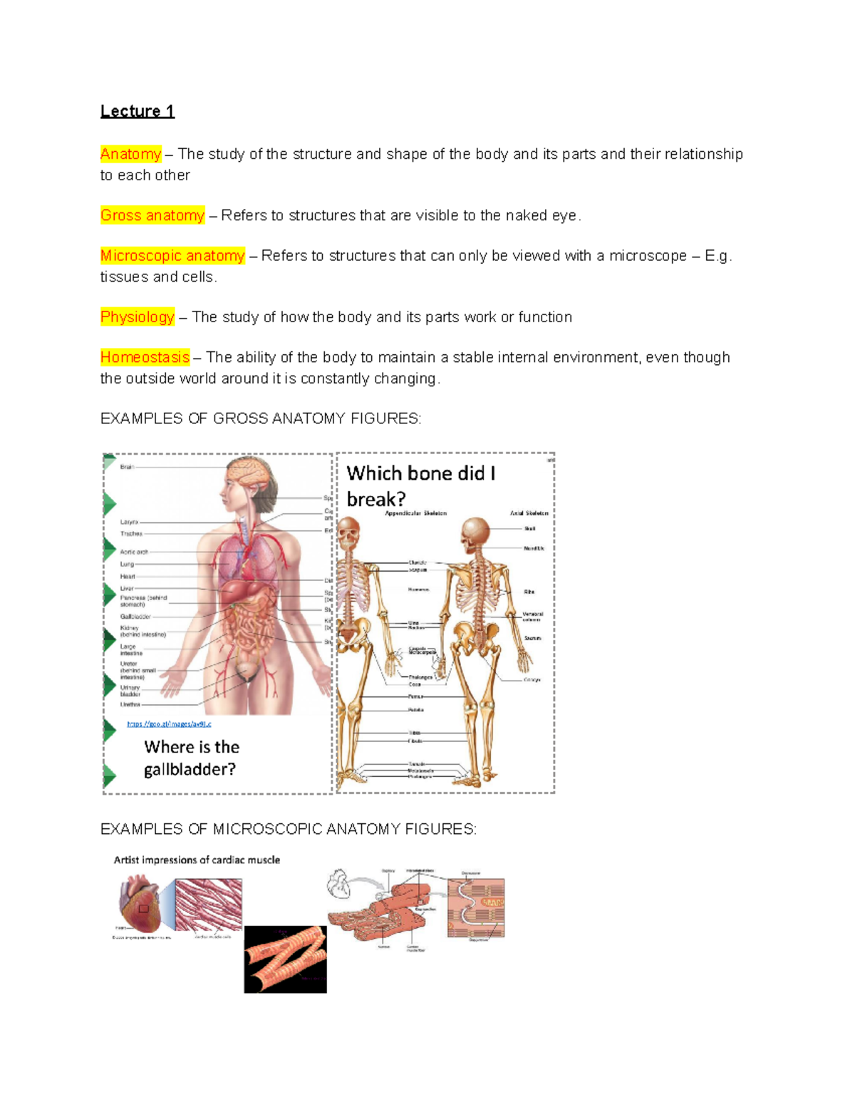 Lecture 1 HAP401 - Gardette teacher, overview of the hap systems ...