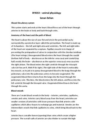 Lc 2019 marking scheme - Coimisiún na Scrúduithe Stáit State ...