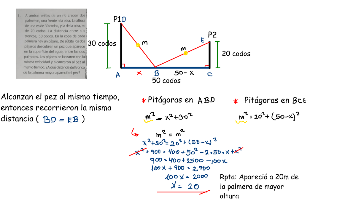 Relacionesmétricas todo - 30 codos 20 codos 50 codos P P Alcanzan el ...