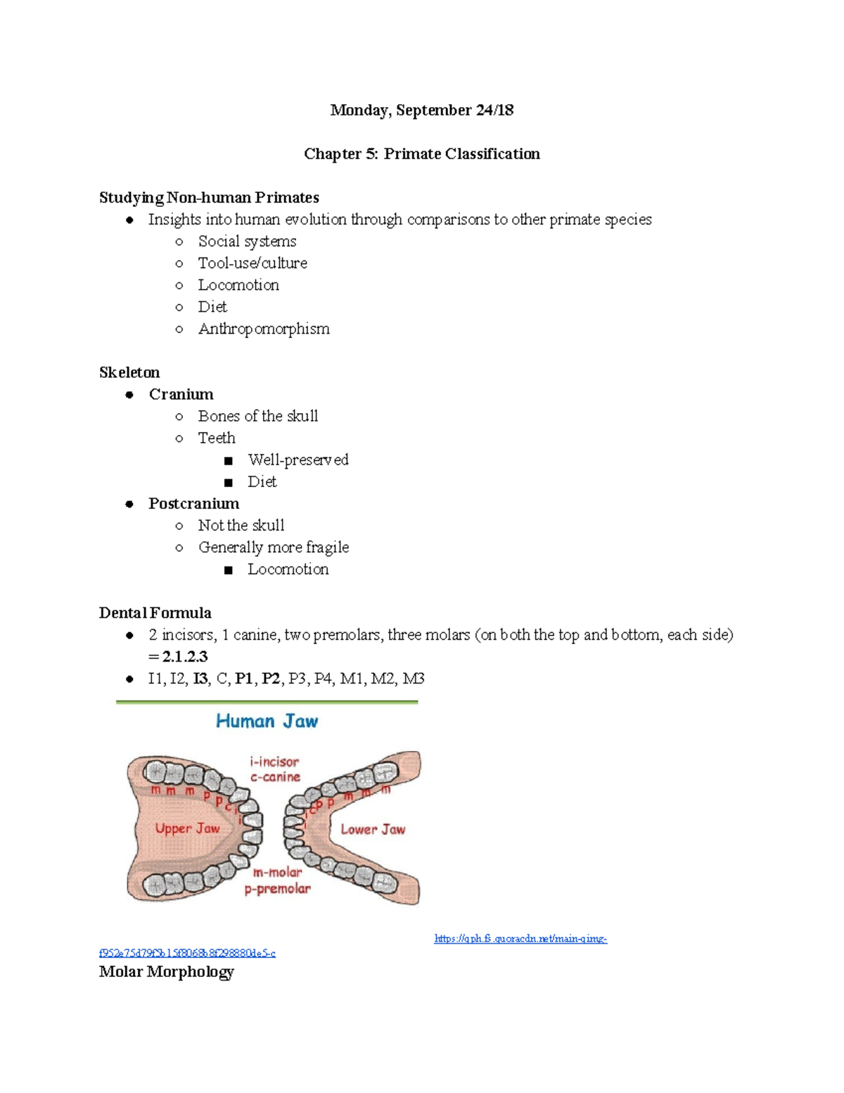 Primate Classification, Non-human Primates, and Early Hominids - Anthro ...