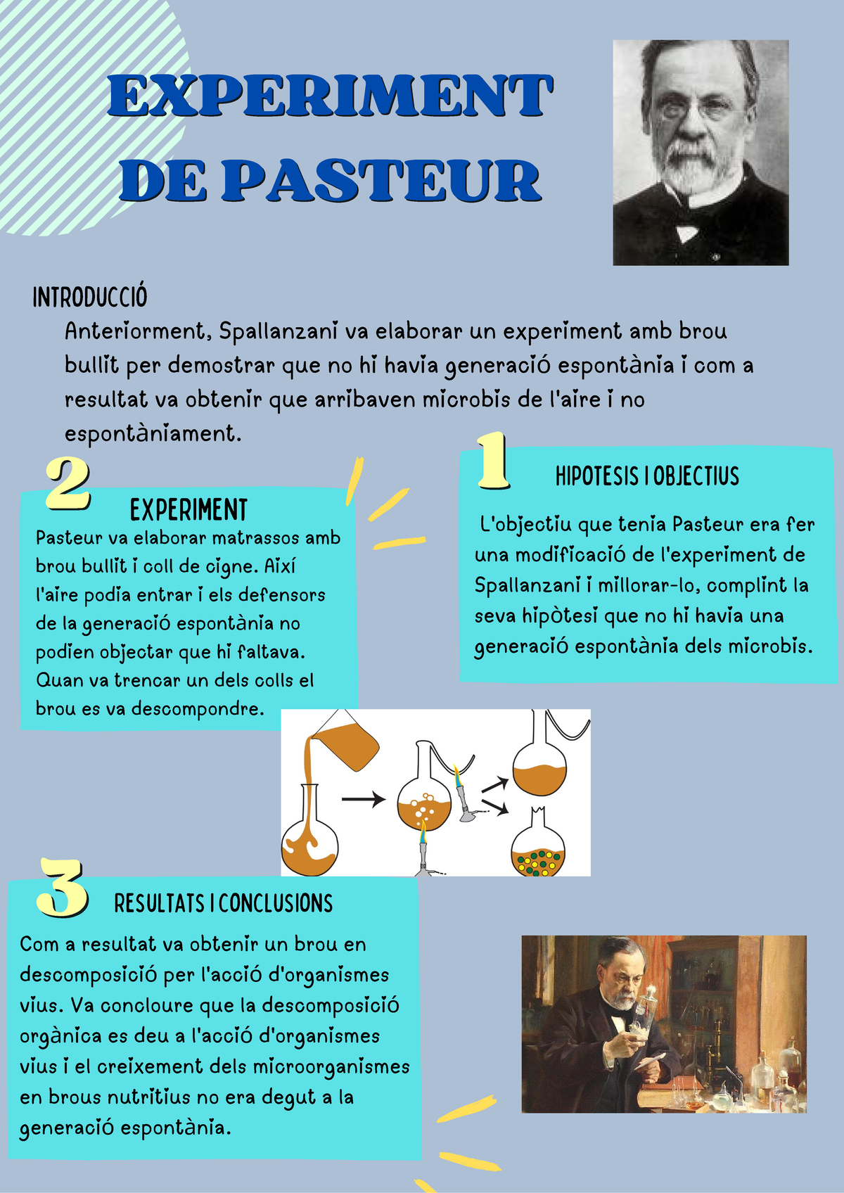 Cartel experimento de Pasteur - Pasteur va elaborar matrassos amb brou bullit i coll de cigne ...