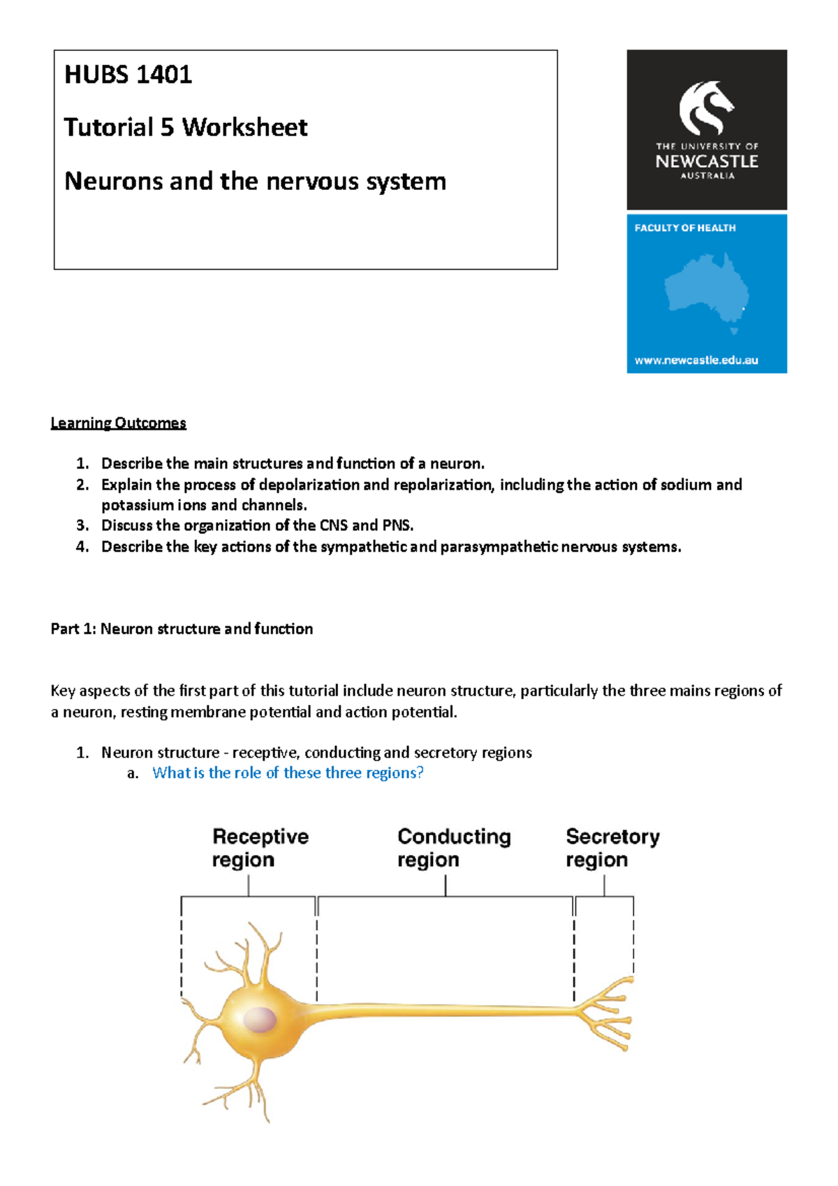 Tutorial 5 Neurons and the nervous system - Learning Outcomes Describe ...