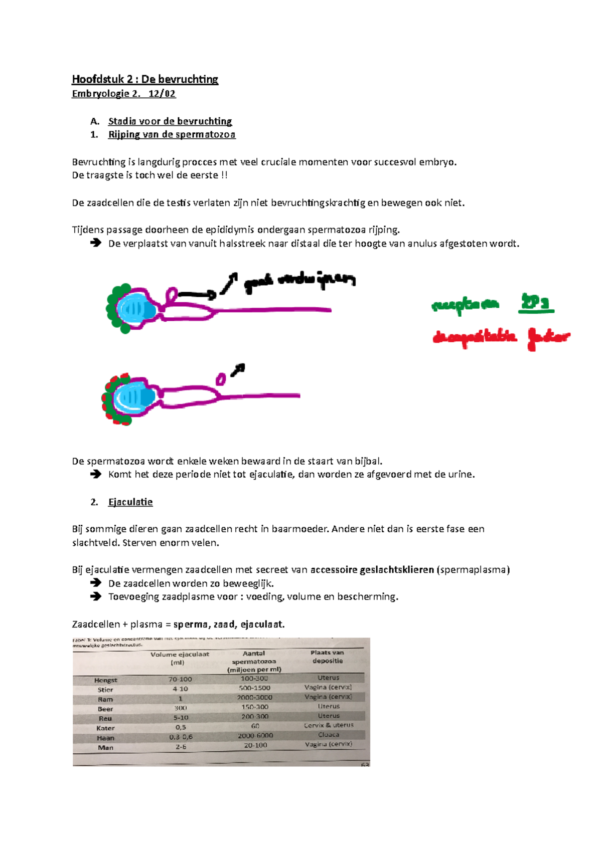 Embryologie hstk 2 bevruchting - Hoofdstuk 2 : De bevruchting ...