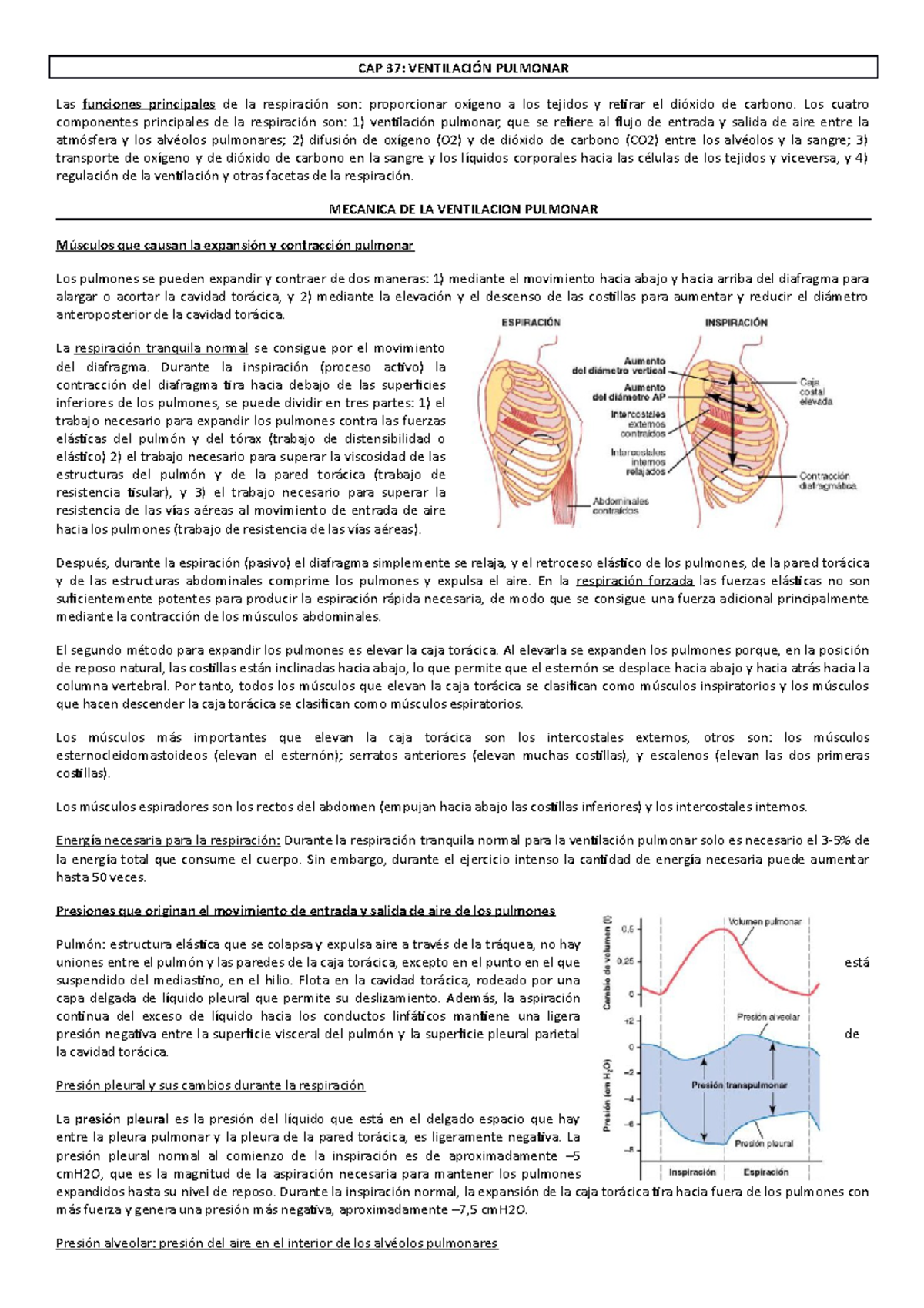 fisiología respiratorio GUYTON- Cap 37, 38, 39, 40, 41 - CAP 37: VENTILACIÓN PULMONAR Las ...