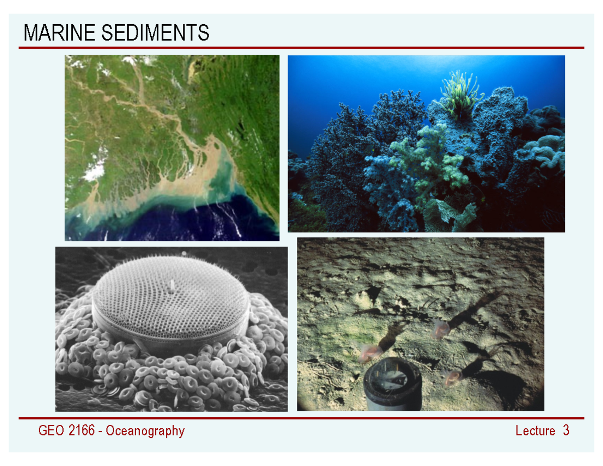 Lecture 3 Marine Sediments 2 - MARINE SEDIMENTS Outline 1. Terrigenous ...