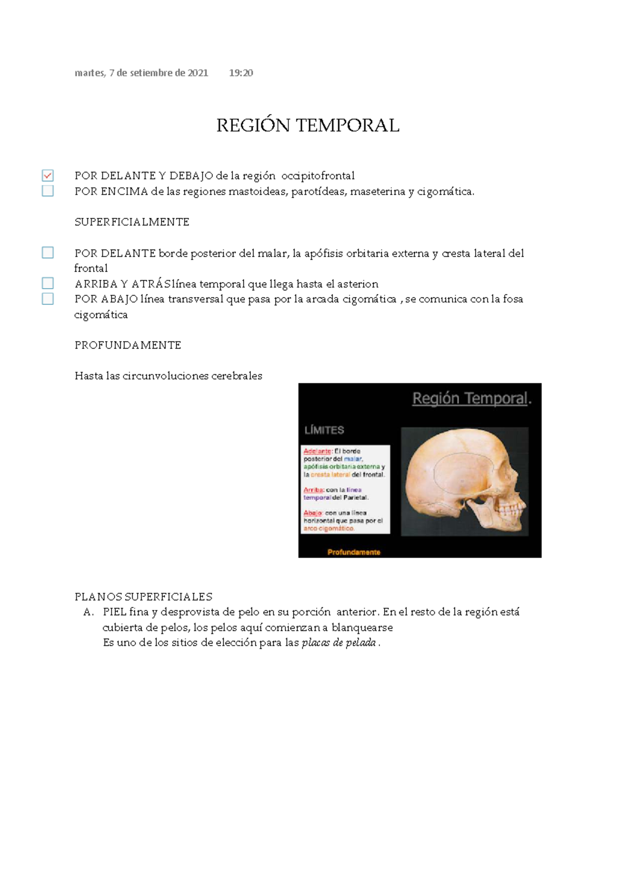 Región Temporal - REGIÓN TEMPORAL POR DELANTE Y DEBAJO de la región ...